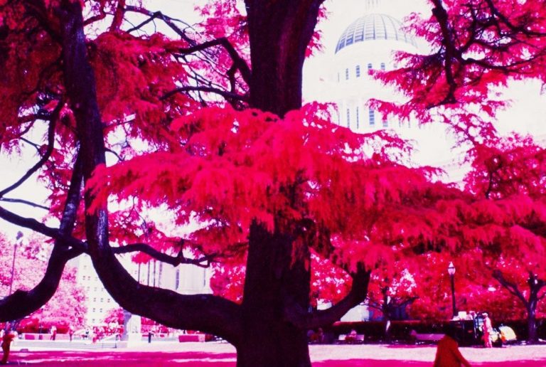 Infrared Film Photography - IR Film How To, Tips & Filters - The Darkroom