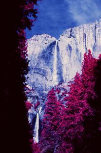 Infrared Film Photography - IR Film How To, Tips & Filters - The Darkroom