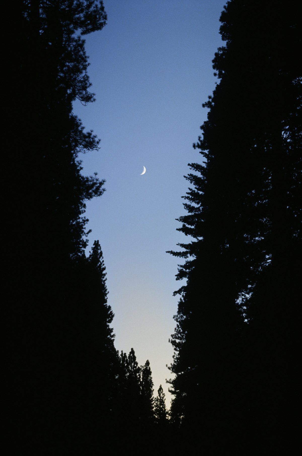 Ektachrome is Back. A comparison of Ektachrome vs. FujiFilm slide film