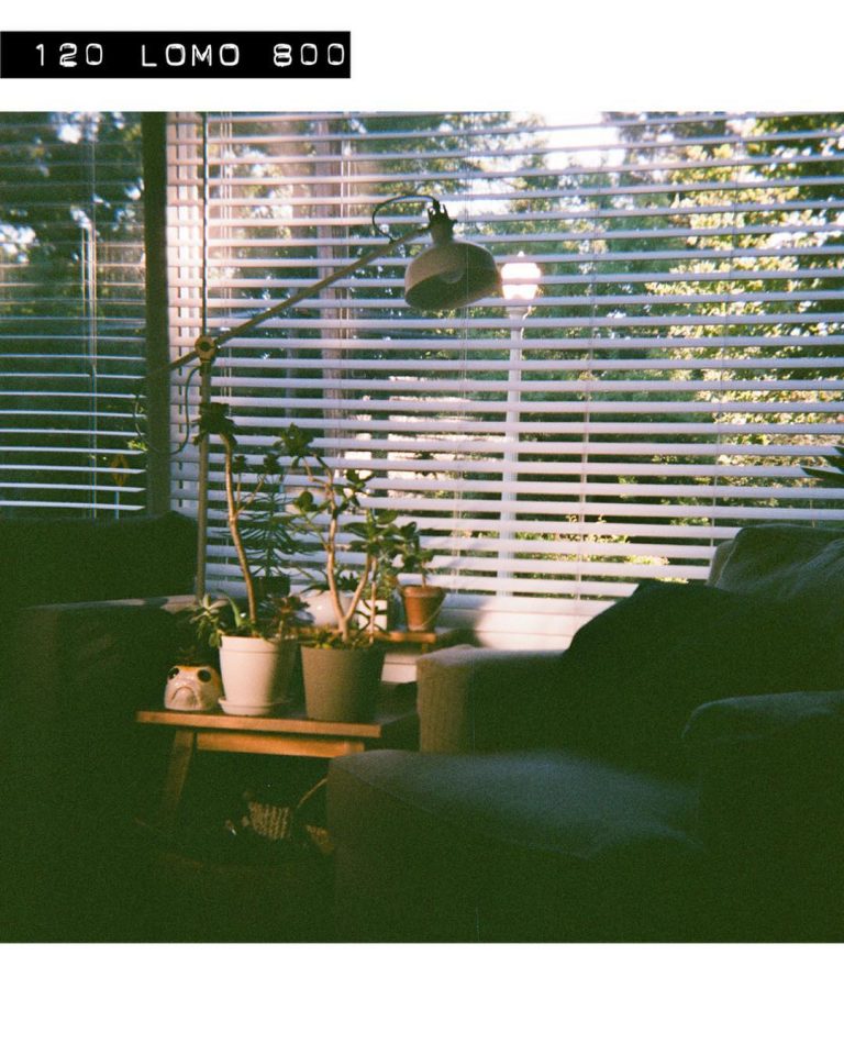 120-lomo-800-5 - The Darkroom Photo Lab