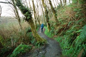Accidentally exposed film… what does it look like? The Darkroom Lab