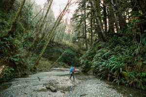 Accidentally exposed film… what does it look like? The Darkroom Lab