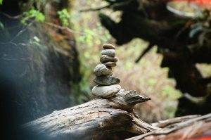 Accidentally exposed film… what does it look like? The Darkroom Lab