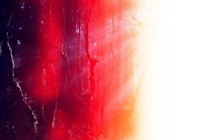 Accidentally exposed film… what does it look like? The Darkroom Lab