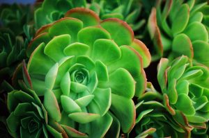 Pushing and Pulling Film - A Complete Guide from The Darkroom