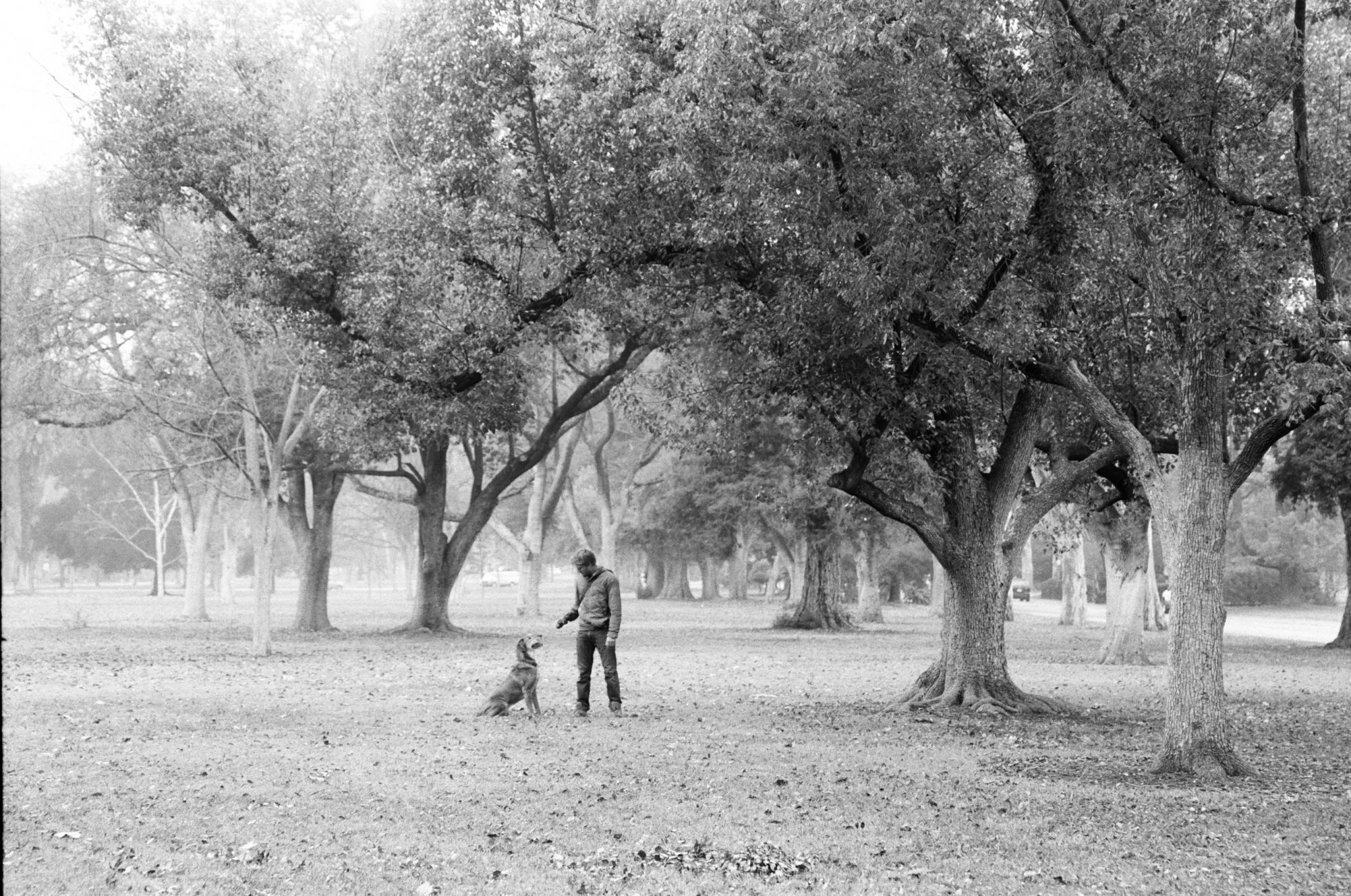 Orthochromatic vs Panchromatic film - A Photo Comparison