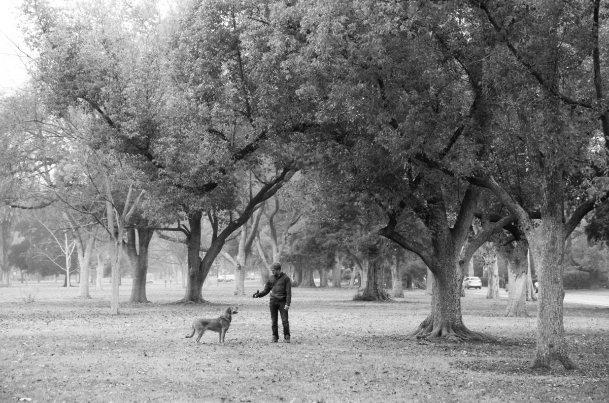 Orthochromatic vs Panchromatic film - A Photo Comparison