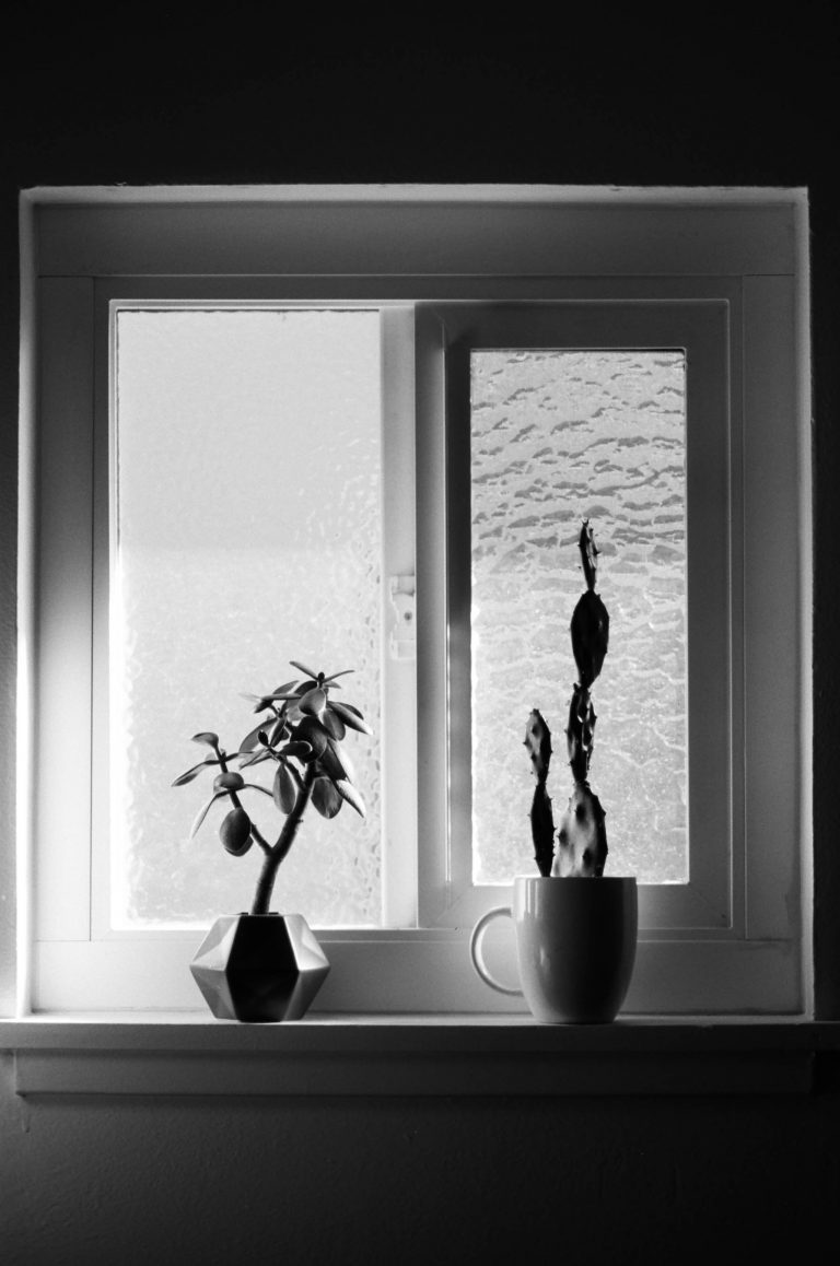 Orthochromatic vs Panchromatic film - A Photo Comparison