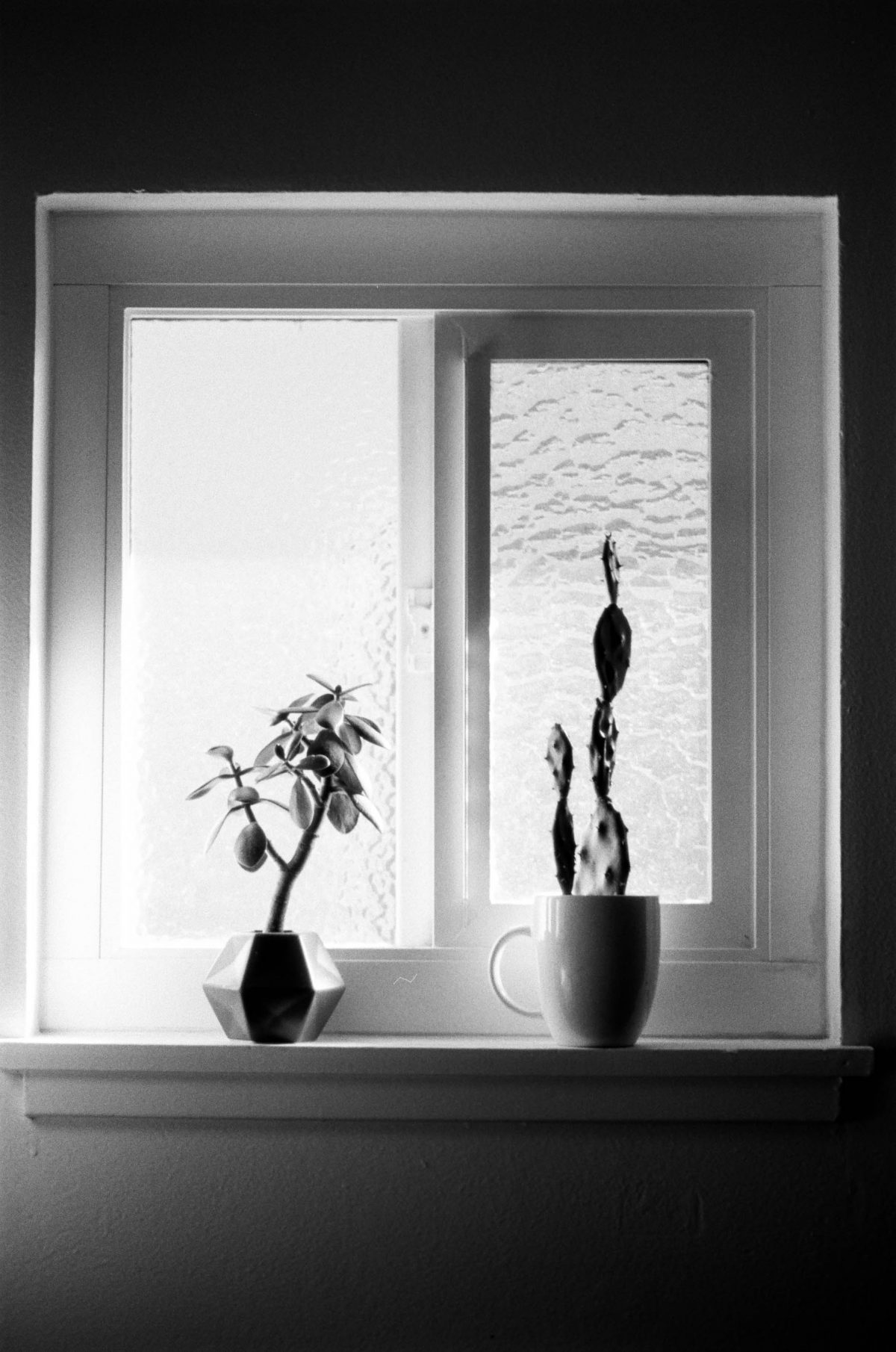 Orthochromatic vs Panchromatic film - A Photo Comparison