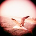 Cross Processing Explained | Cross Processing: what, how and examples