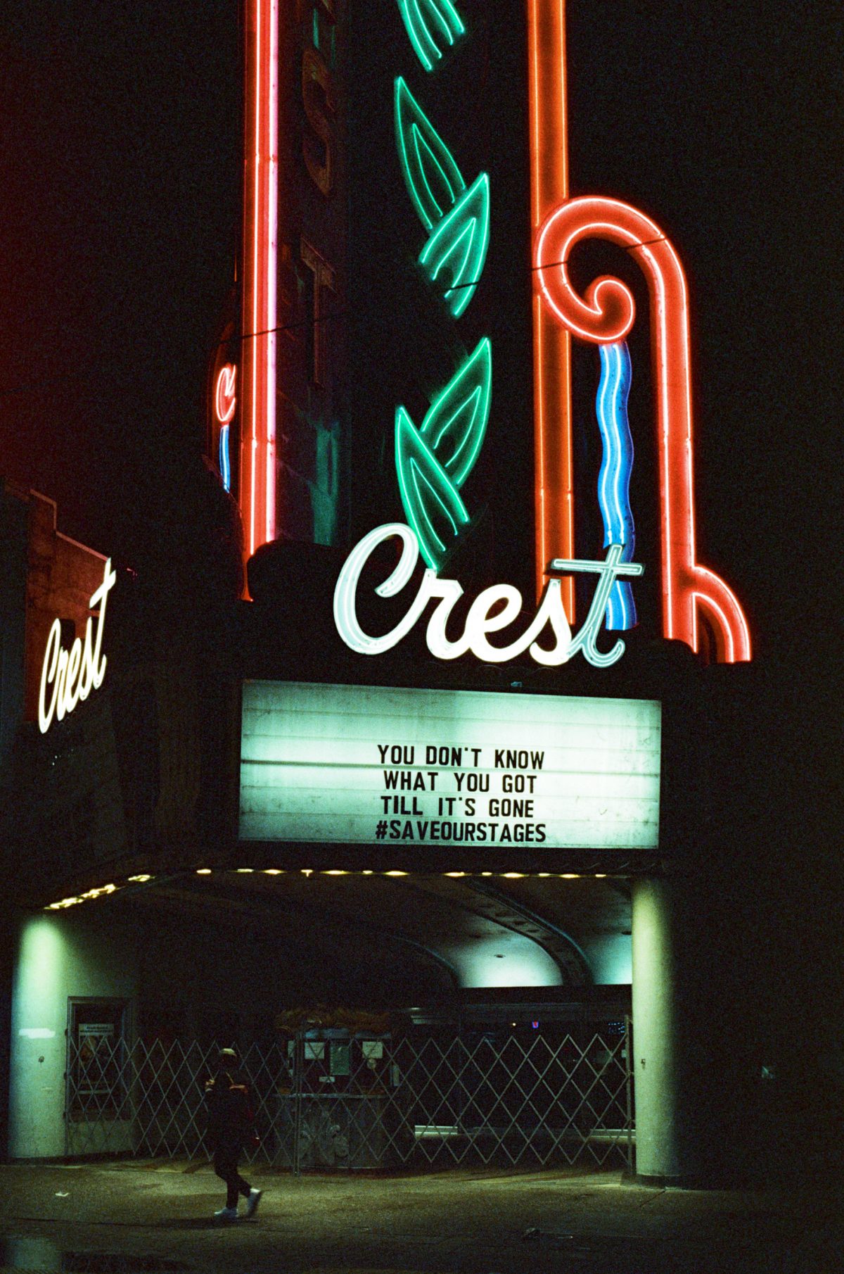 Cinestill 800t at 3200 +3-000274170025 - The Darkroom Photo Lab