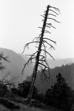 A Guide to color filter used with B&W Film - The Darkroom Photo Lab