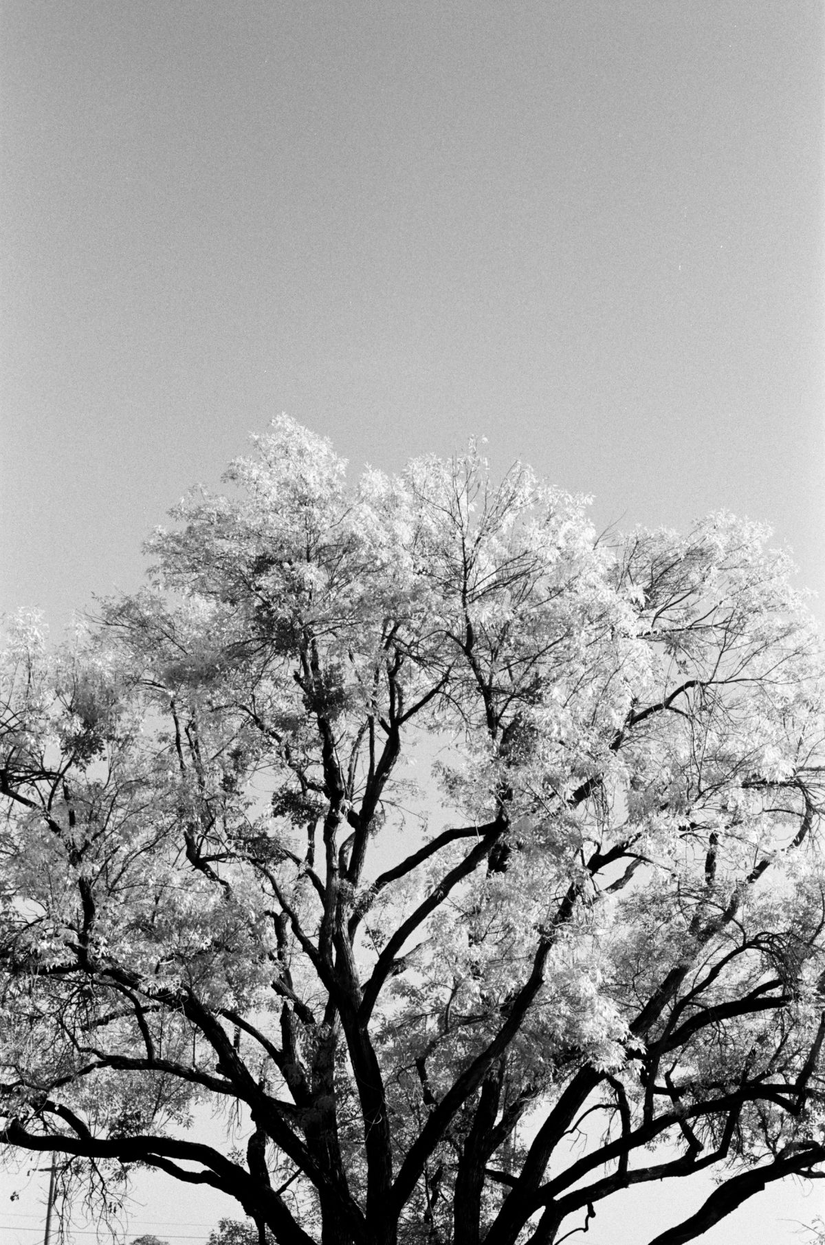 A Guide to color filter used with B&W Film - The Darkroom Photo Lab