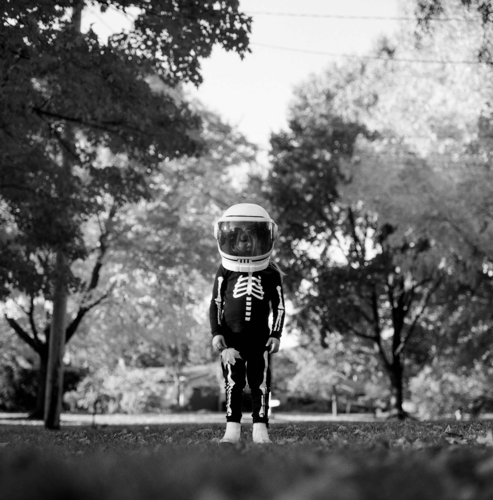 The Best Budget 120 Film: New Kentmere Pan 100 & 400