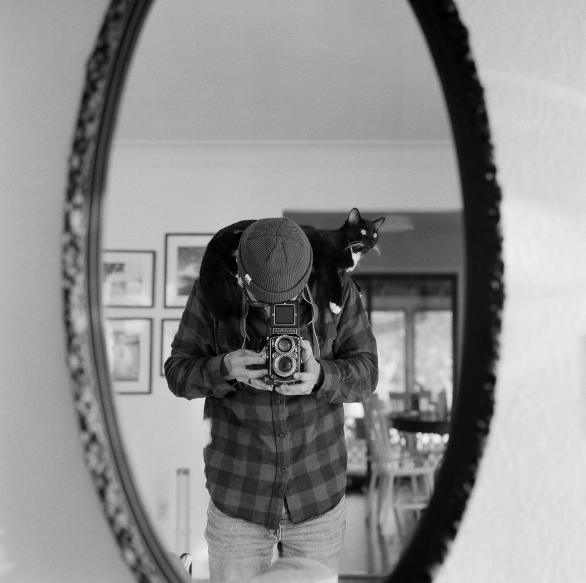 Kentmere PAN 400 at 800 +1-000447870003 - The Darkroom Photo Lab