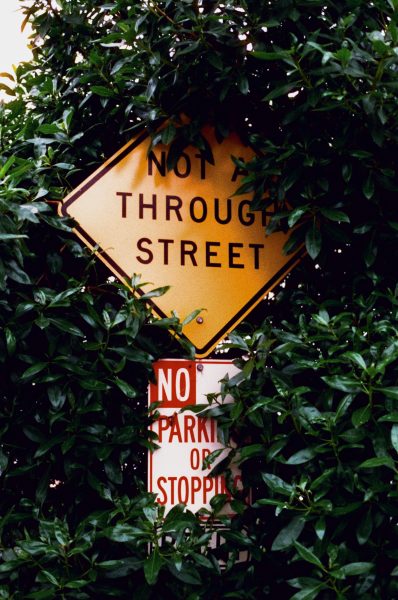 Harman's New "Colour" Film: Phoenix 200 review! - The Darkroom Photo Lab