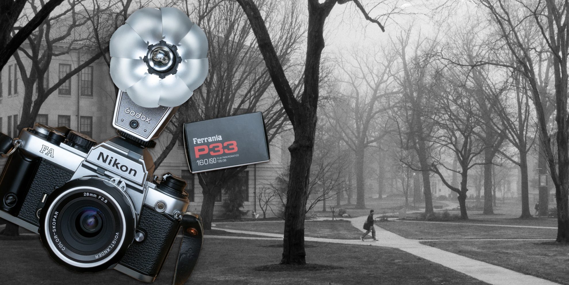 Ferrania P33 Review: A New B&W Film! - The Darkroom Photo Lab