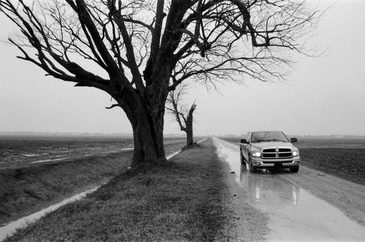 Ferrania P33 Review: A New B&W Film! - The Darkroom Photo Lab