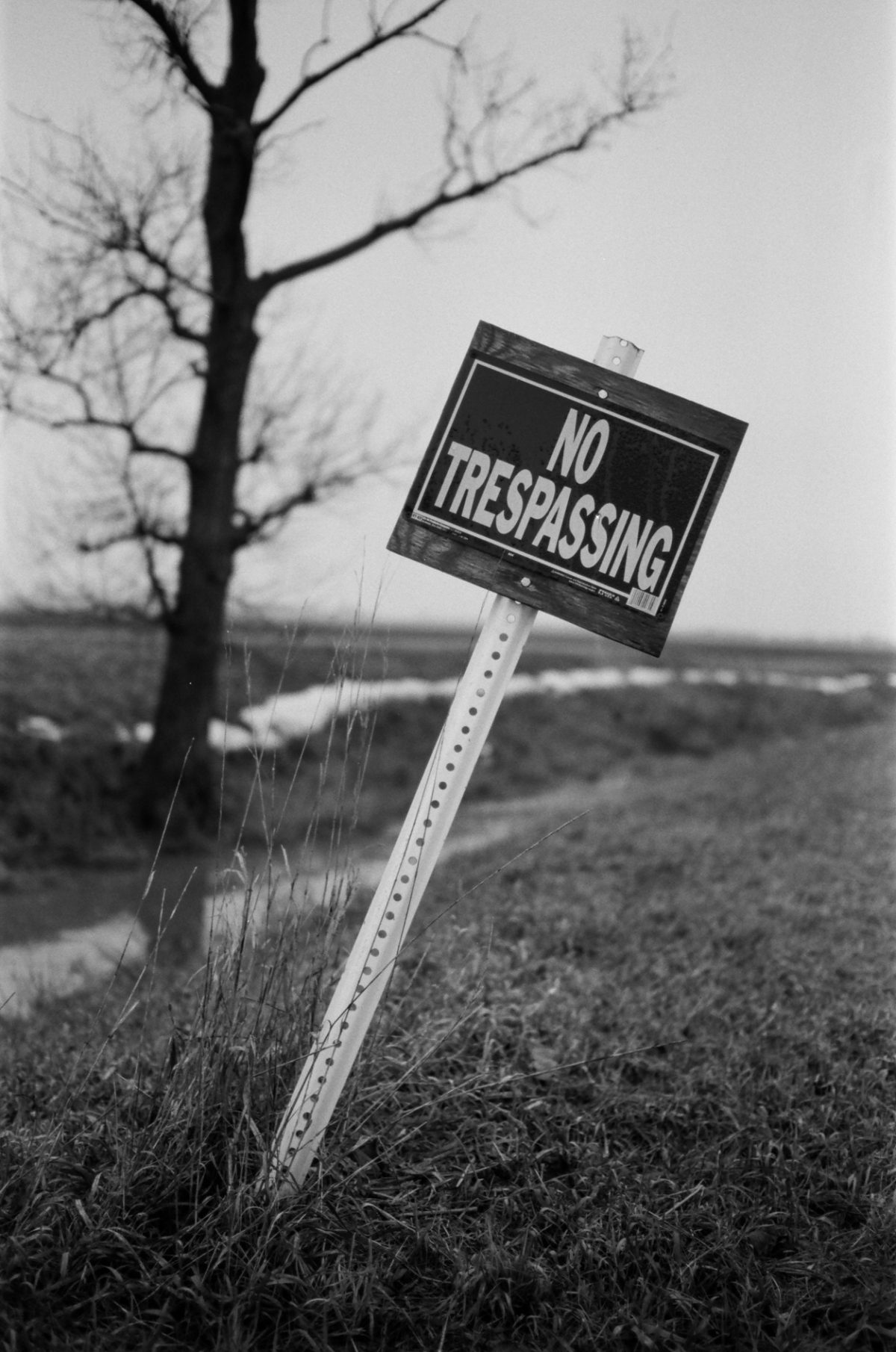 Ferrania P33 Review: A New B&W Film! - The Darkroom Photo Lab