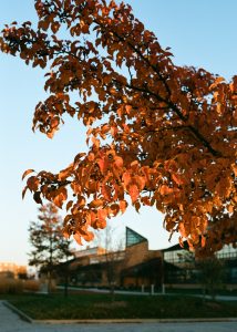 Nikon FA Review: A Hidden Gem for Film Enthusiasts - The Darkroom Photo Lab