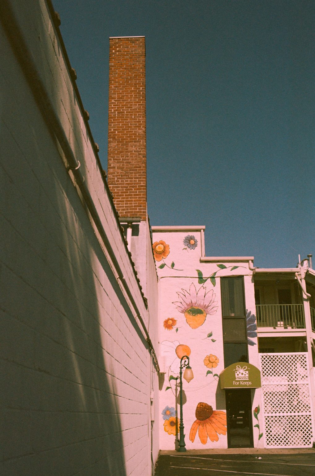 A Quick Guide to Expired Film, Old Found Rolls, and Negatives