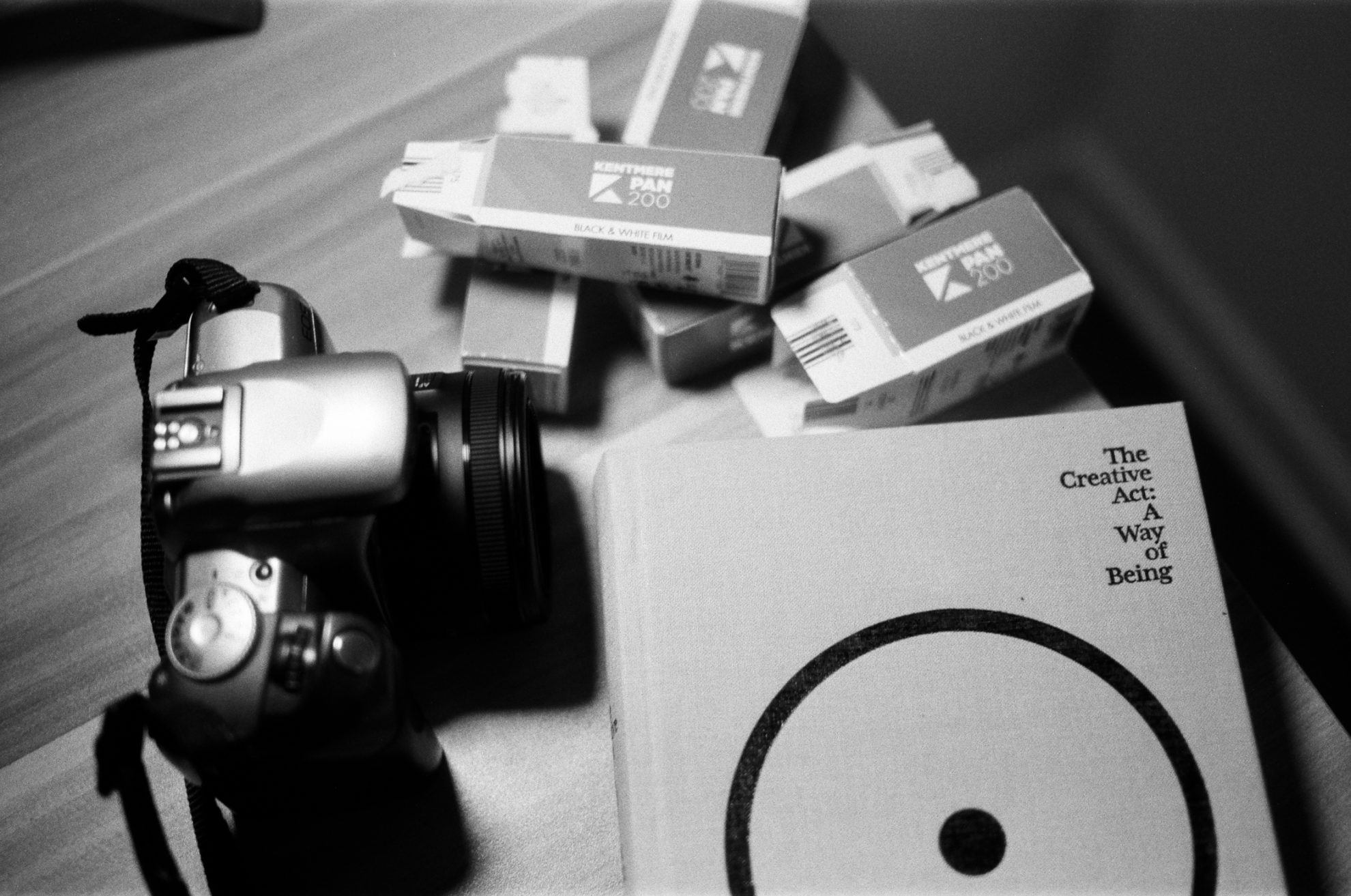 The Best Budget Black and White Film: Kentmere Pan 200